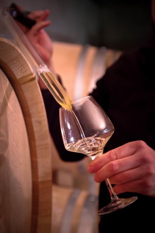 "La Cave de Bissey", winegrower's cooperative